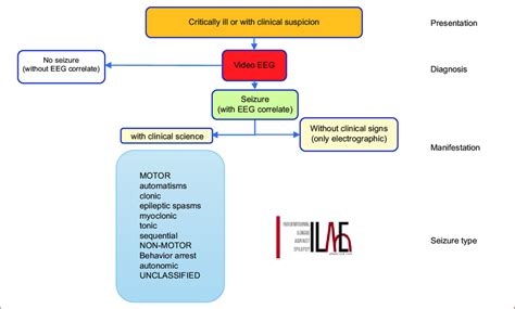 Diagram Of The Proposed Classification For Seizures In The Newborn Download Scientific Diagram