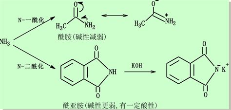 有机化学学习笔记胺 知乎