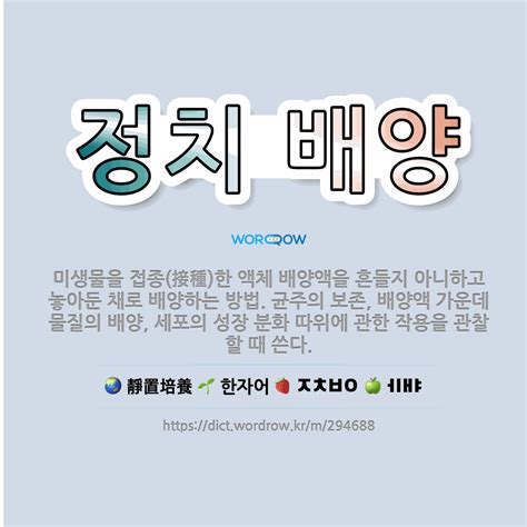 🌟정치 배양 미생물을 접종接種한 액체 배양액을 흔들지 아니하고 놓아둔 채로 배양하는 방법 균주의 보 표준국어대사전