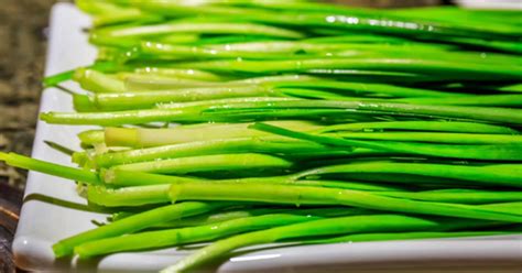 봄 부추 인삼ㆍ녹용 안부럽다돼지고기와 찰떡궁합