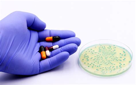 World Antimicrobial Resistance Awareness Week 2024 Pahowho Pan