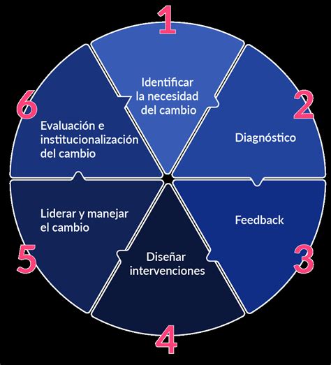 El Desarrollo Organizacional Y Cómo Aplicarlo