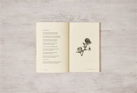 It Is All Equally Fragile Book Books Frances Jaye