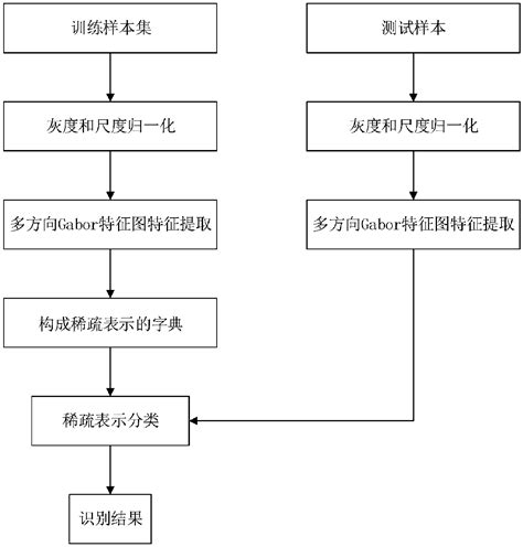 Image Sparse Representation Based Robust Human Face Identification