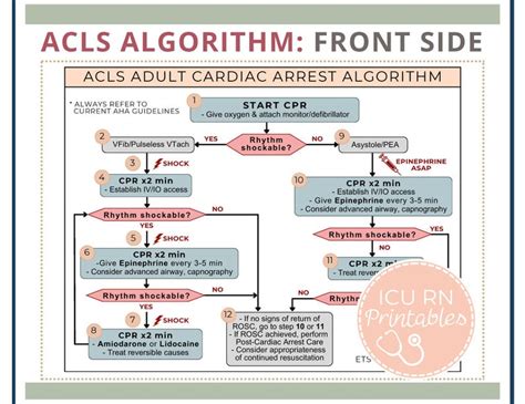 Acls Adult Cardiac Arrest Algorithm Bundle Reference Sheet And Badge