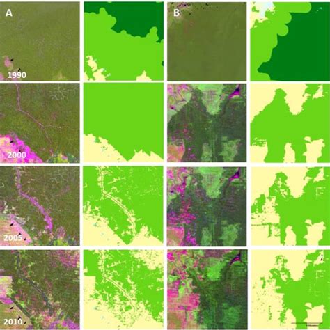 pdf mapping and monitoring deforestation and forest degradation in