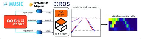 implementation of the embodied closed loop evaluation of the