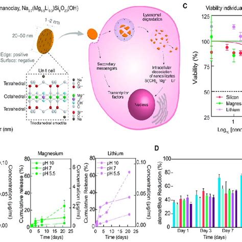 Structure Physiological Stability And Cellular Compatibility Of