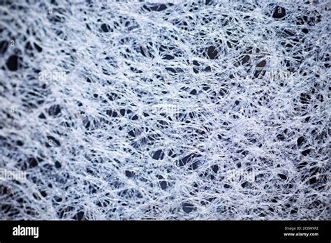 Paper Cut Under A Microscope At Jason Rocha Blog