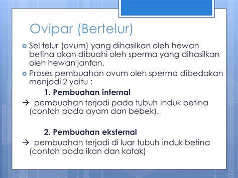 Pembuahan Yang Terjadi Di Dalam Tubuh Induk Betina Dinamakan