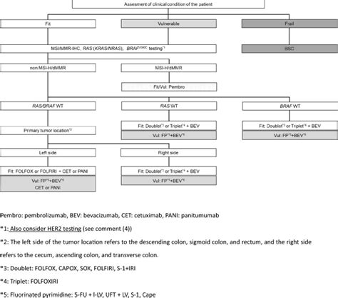 Japanese Society For Cancer Of The Colon And Rectum Jsccr Guidelines