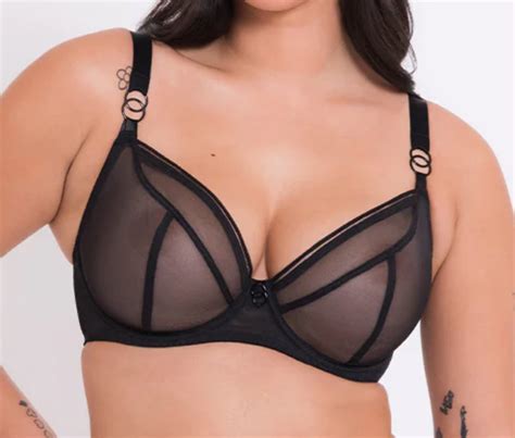 Lifestyle Plunge Bra The Rack Shack