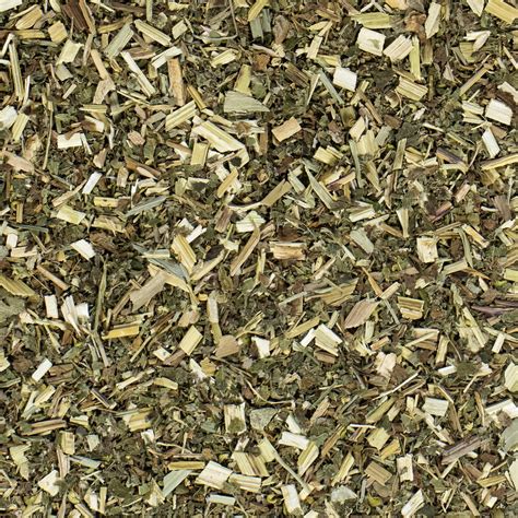 Moerasspirea Topkwaliteit Kopen