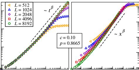 Color Online Left Plot Of The Global Interface Width W T L As A
