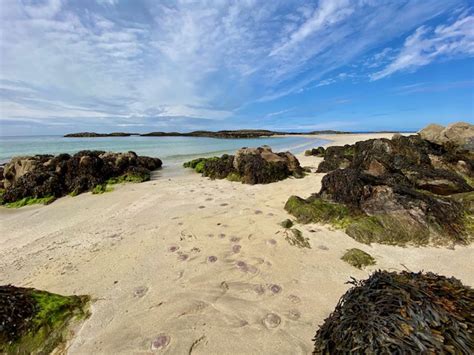 Tiree And Coll Inner Hebrides Scotland 2023 Exploreourworld