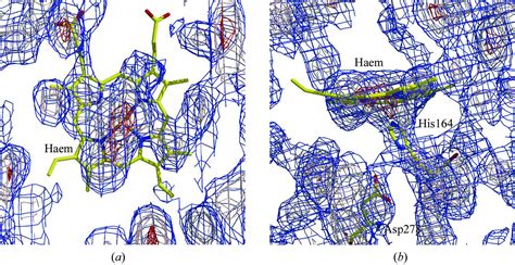 Iucr A Unique Dye Decolorizing Peroxidase Dyp From Thanatephorus Cucumeris Dec 1