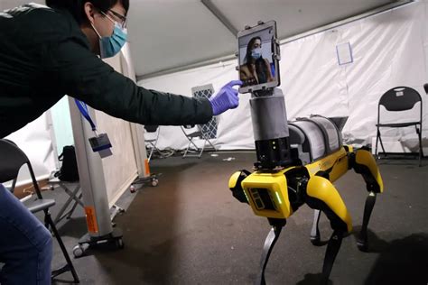 How Are Robots Influencing Hospitality Industry