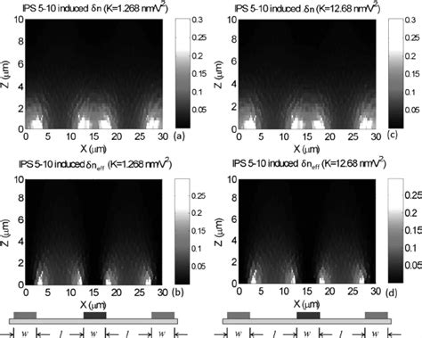 Spatial Profiles Of Induced Birefringence And Effective Birefringence