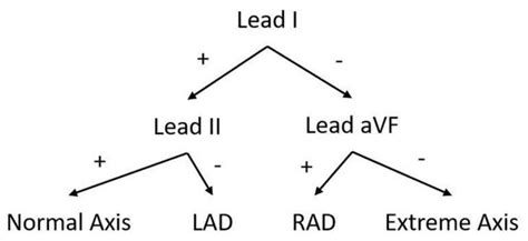 Heart Left Axis Deviation Causes Symptoms And Treatment
