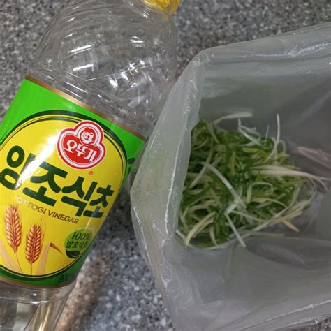 파절이 양념 5분컷 간단양념 파절이 만드는법 파절이 무침