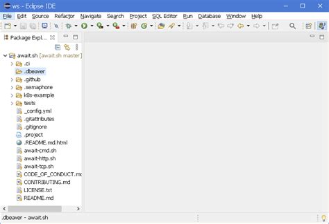 Empty Dbeaver Folders Created In Eclipse Projects · Issue 12059