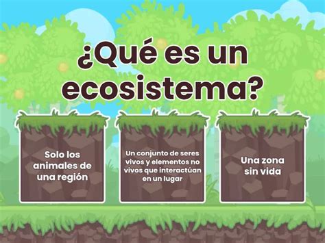 Los Ecosistemas Y Sus Componentes Quiz Los Ecosistemas Y Sus Componentes Quiz
