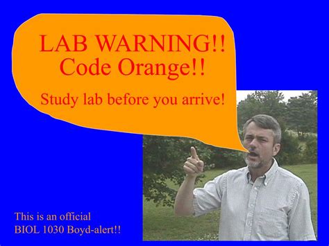 Ppt Protists And Fungi Powerpoint Presentation Free Download Id235278