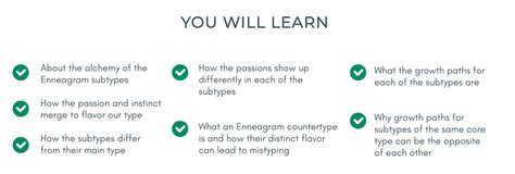 Master The Enneagram Subtypes Landing — Cp Enneagram Academy