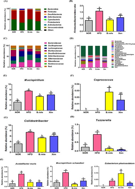 Postbiotic Potential Of Bacillus Velezensis Kmu01 Cell Free Supernatant