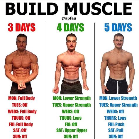 Nuances On Muscle Building Apfau Arnoldschwarzenegger Arnoldclassics