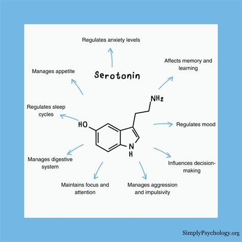 Serotonin Structure Serotonin Oder