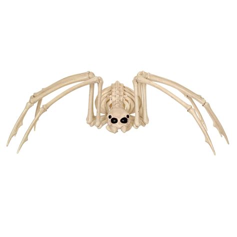 Spider Skeleton 40 5 At Home