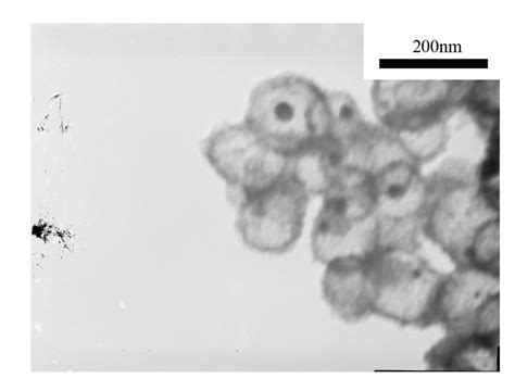 Method For Preparing Gold Titanium Dioxide Core Shell Nanoparticle Eureka Patsnap