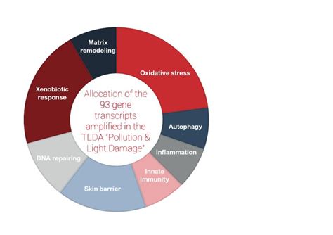 Straticell On Linkedin Straticell Skincare Testing Pollution Tlda