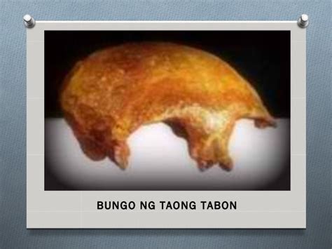 Taong Tabon Philippin News Collections