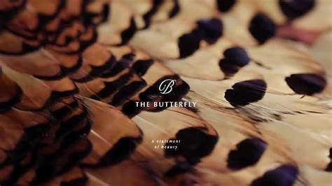 لونش شركه مدينه مصر كمبوند ذا بترفلاي مدينه المستقبل