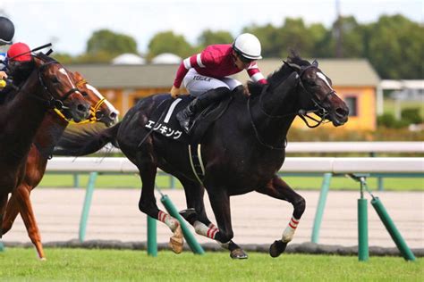【水沢・南部駒賞】バリウィールが逃げ切りで3連勝石川倭「馬が強かった」