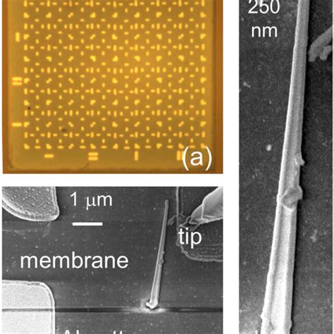 A Optical Image Of The Si3n4 Patterned Membrane B Sem Image