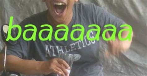 Baaaa Album On Imgur