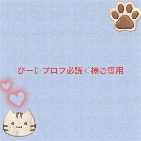 ぴー プロフ必読 様ご専用 飲料・酒