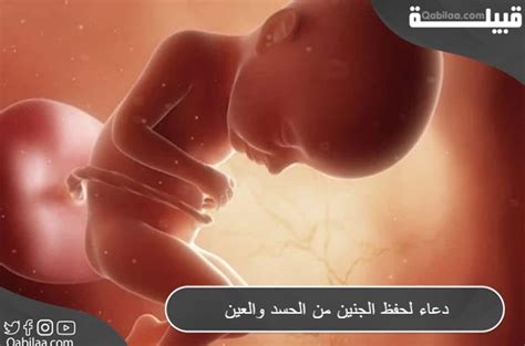 دعاء لحفظ الجنين من الحسد والعين ربي احفظ لي مافي احشائي موقع قبيلة