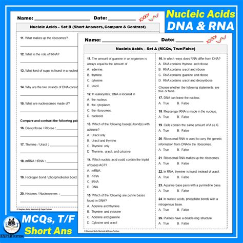 Nucleic Acid Worksheet Nucleic Acid Pdf Nucleic Acids
