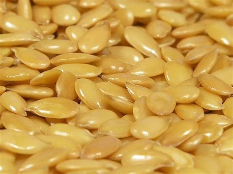 Eat Flaxseed For Health Hubpages