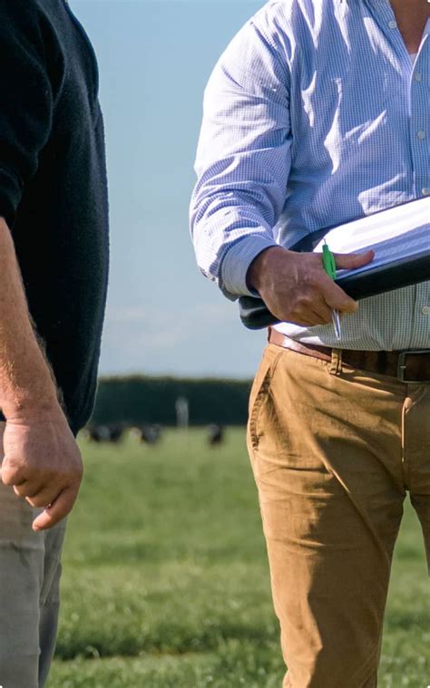 Fodder Beet Cropmark Seeds
