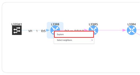 How To Use Path Lookup Ip Fabric Documentation Portal