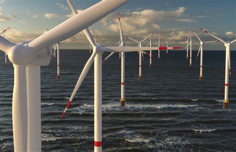 바다 위의 풍력 발전기 생태계 피해 적을 수도”