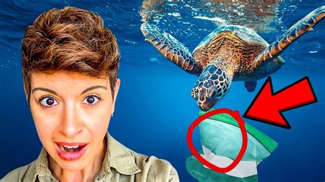 Stop Using Plastic Zip Bags And Watch This Zipped Bag Bags Zip