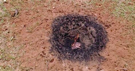 Flaming Meteor Rock Leaves Homeowner Stunned After Landing In His