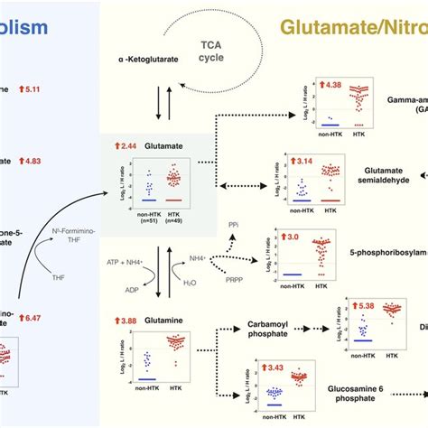 Pca And Hierarchical Clustering Analyses Of Metabolomics Data The Download Scientific Diagram