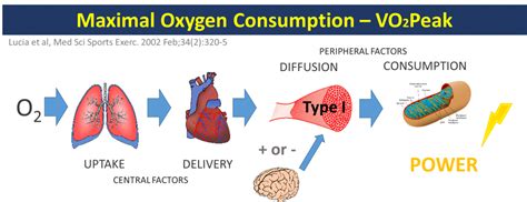 Physiology - https://cpsinmotion.com